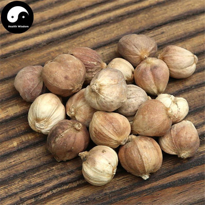 Buy Best Herb Bai Dou Kou 白豆蔻, Bai Kou Ren, Round Cardamom Fruit ...