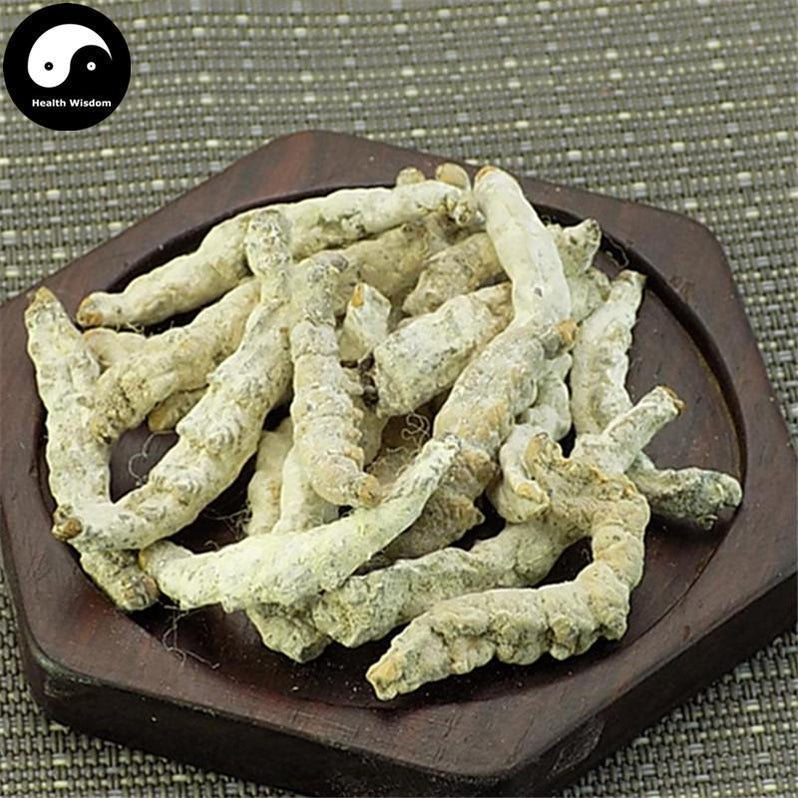 Buy Best Herb Bai Jiang Can 白僵蚕, Bombyx Batryticatus, Silkworm Larva, — Health Wisdom™