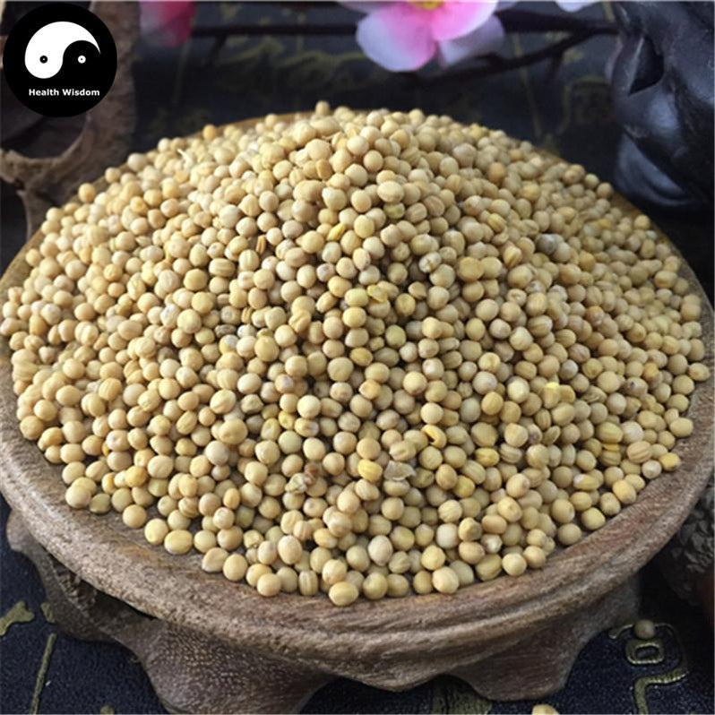 Buy Best Herb Bai Jie Zi 白芥子, Semen Brassicae, White Mustard Seed, — Health Wisdom™