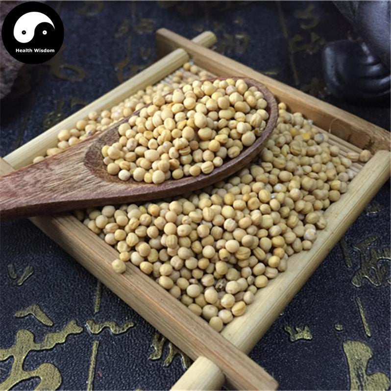 Buy Best Herb Bai Jie Zi 白芥子, Semen Brassicae, White Mustard Seed, — Health Wisdom™