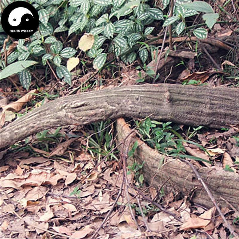 Buy Best Herb Bian Teng 扁藤, Tetrastigma Planicaule, Da Lu Teng, Tie ...