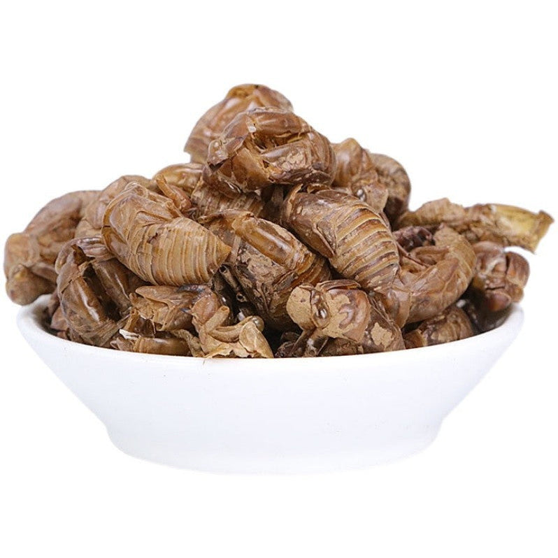 Buy Best Herb Chan Tui 蝉蜕, Cicada Molting (Slough), Periostracum ...