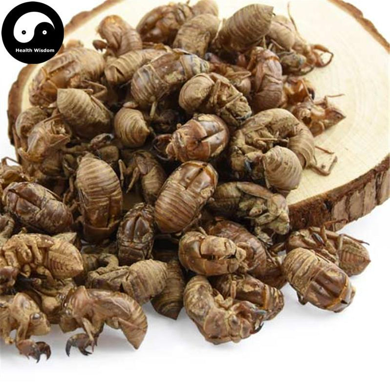 Buy Best Herb Chan Tui 蝉蜕, Cicada Molting (Slough), Periostracum ...