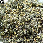 Buy Best Herb Chen Xiang 沉香, Agarwood Flower Tea, Aquilaria Sinensis ...