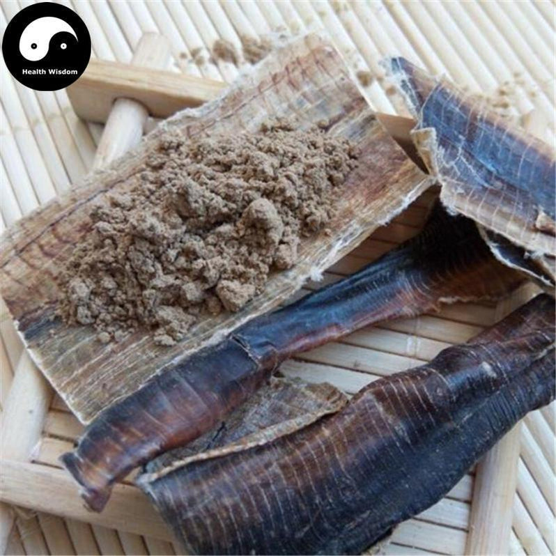 Buy Best Herb Di Long Fen 地龙粉, Qiu Yin, Lumbricus Powder, PHERETIMA ...