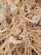 Buy Best Herb Dried Radix Notoginseng, Pseudoginseng Root Slices, Tian ...