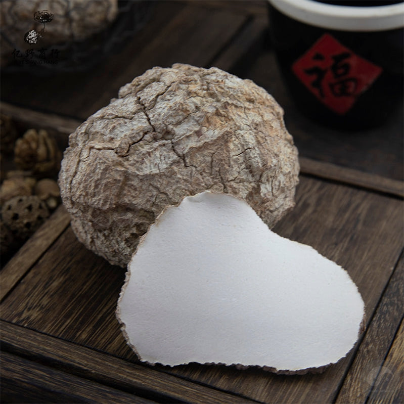 Buy Best Herb Fungus Hu Nai Jun 虎奶菌, Dried Pleurotus Tuber Regium ...
