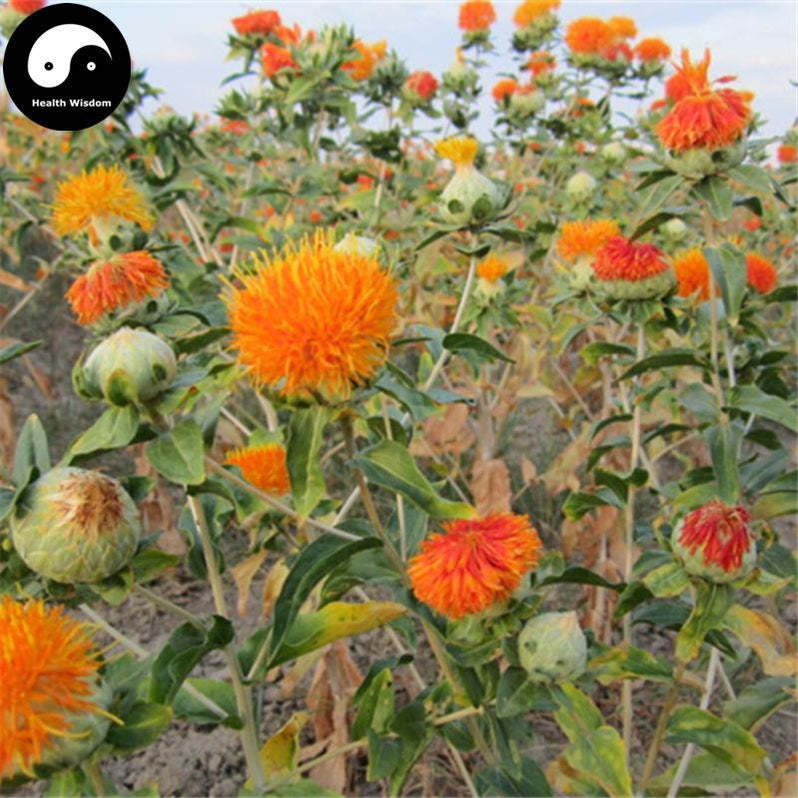 Buy Best Herb Hong Hua 紅花, Flos Carthami, Safflower, Carthamus — Health ...