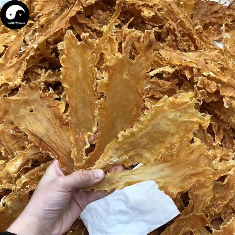 Buy Best Herb Hua Jiao 花胶, Yu Jiao, Seafood Fish Maw, Air Bladder ...