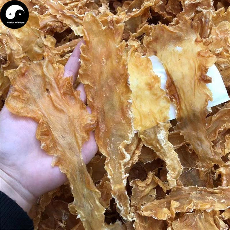 Buy Best Herb Hua Jiao 花胶, Yu Jiao, Seafood Fish Maw, Air Bladder ...