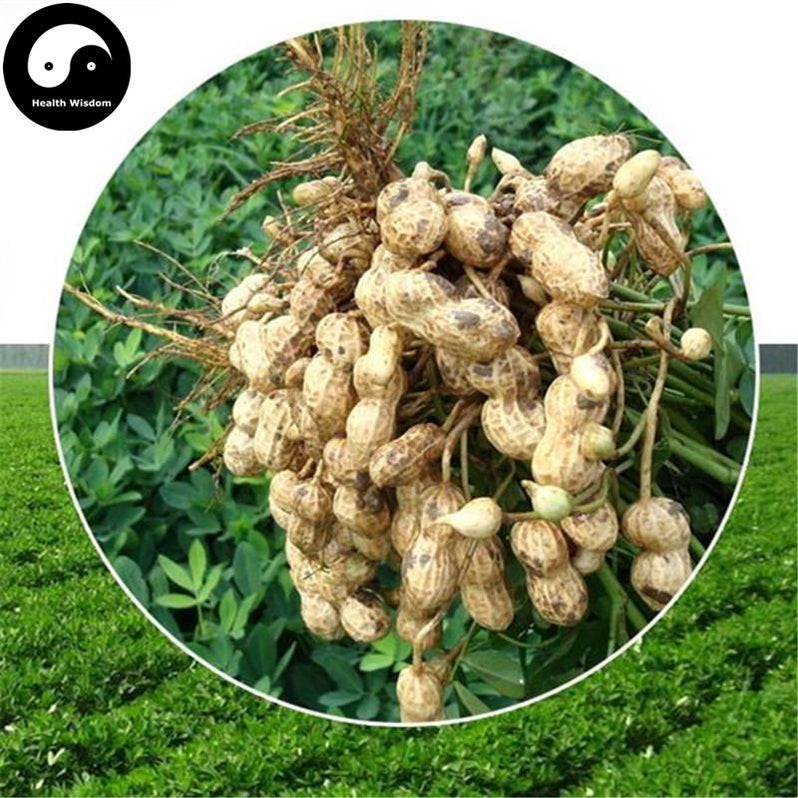 Buy Best Herb Hua Sheng Yi 花生衣, Peanut Coat, Hua Sheng Pi Online Tea ...
