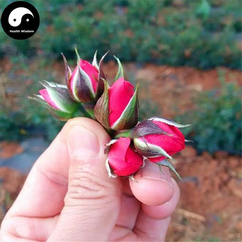 Buy Best Herb Jin Bian Mei Gui Hua 金边玫瑰花, Rose Flower, Flos Rosa ...