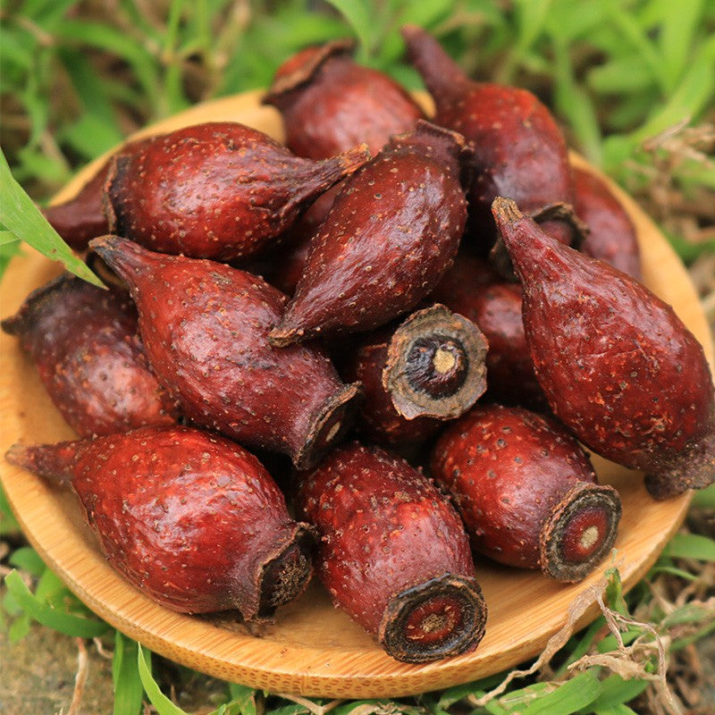Buy Best Herb Jin Ying Zi 金櫻子, Fructus Rosae Laevigatae, Cherokee ...