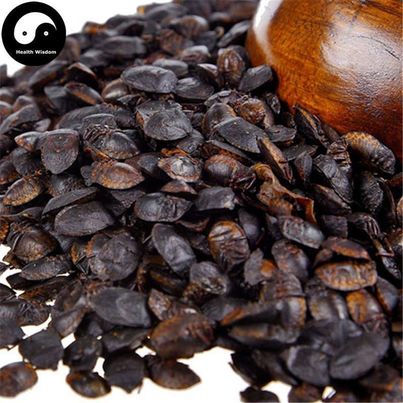 Buy Best Herb Jiu Xiang Chong 九香虫, Aspongopus, Stink-Bug Online Tea ...