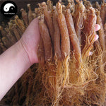 Buy Best Herb Korean Ginseng Roots, Whole Radix Red Ginseng, Gao Li ...