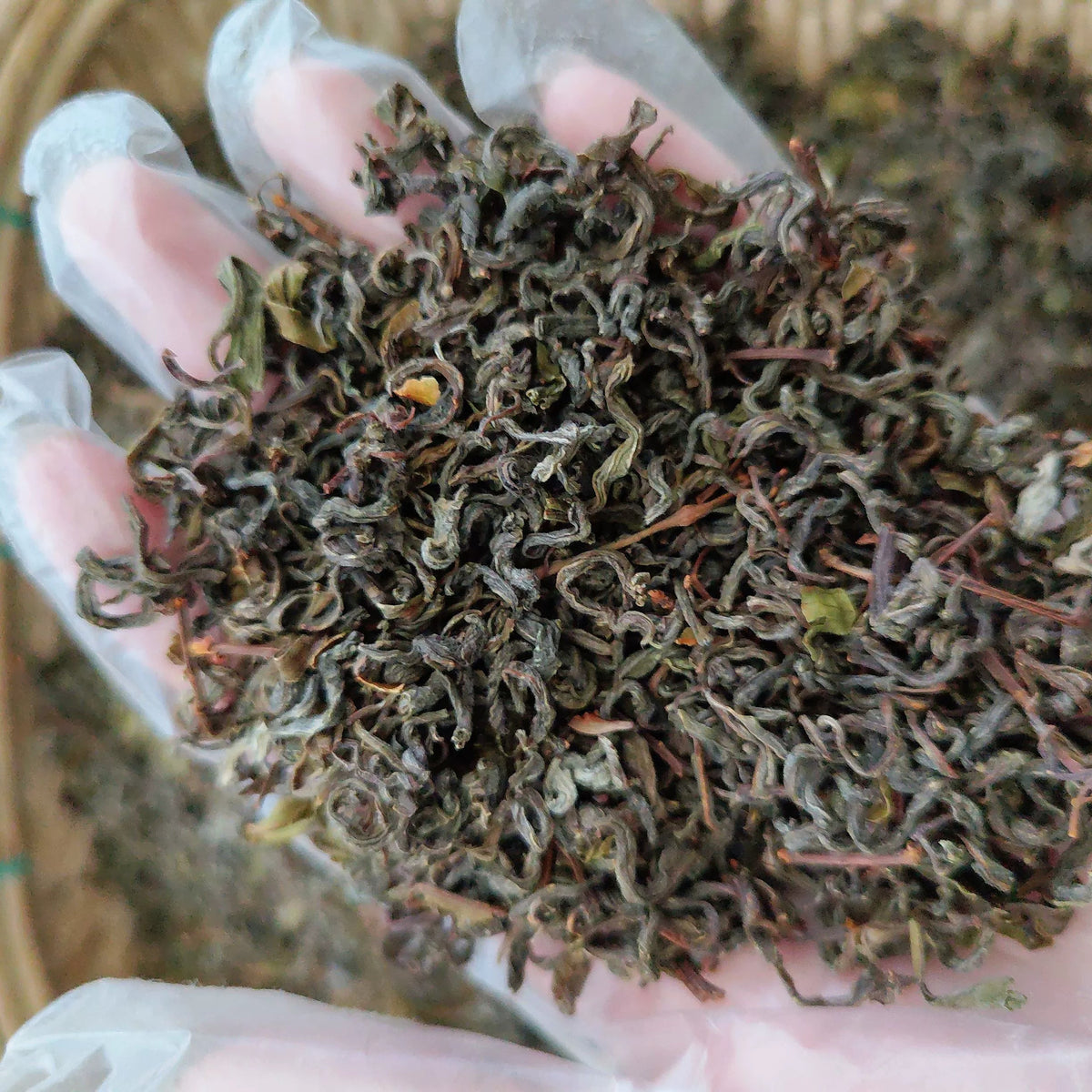 Buy Best Herb Lao Ying Cha 老鹰茶, Litsea Coreana Leaves, Red Hawk Tea ...