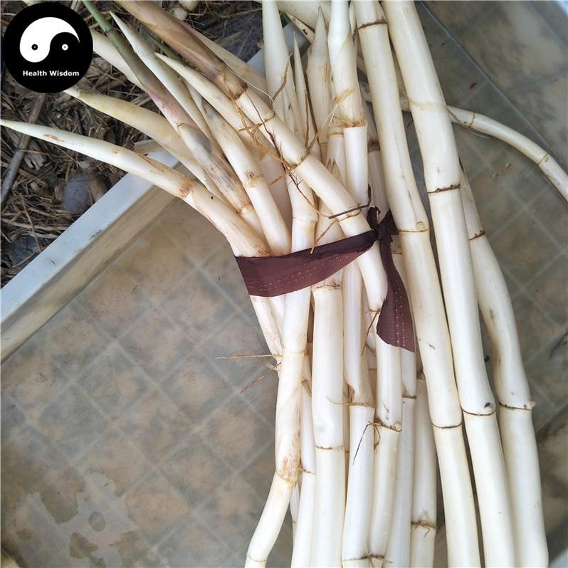 Buy Best Herb Lu Gen 蘆根, Rhizoma Phragmitis, Common Reed Rhizome ...