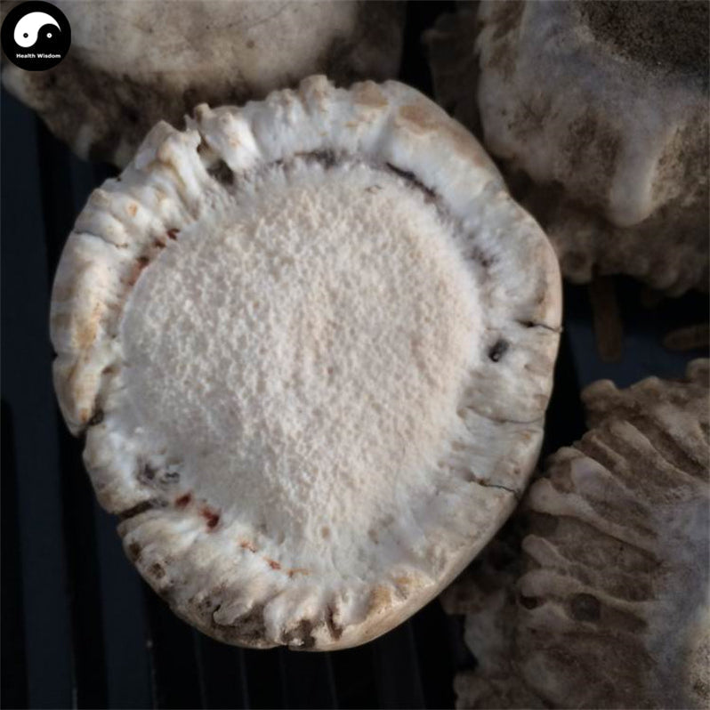 Buy Best Herb Lu Jiao Mao Fen 鹿角帽粉, Pure Sika Deer Antler Powder, Lu ...