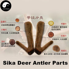 Buy Best Herb Lu Rong 鹿茸, Sika Deer Antler Slice, La Pian, Rarest ...