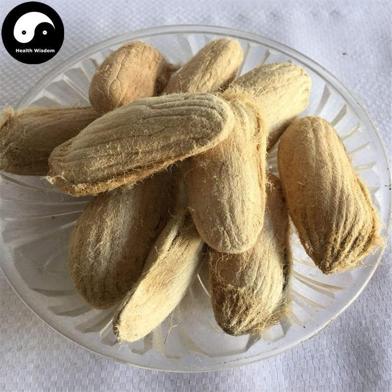 Buy Best Herb Mang Guo He 芒果核, Semen Mangiferae Indicae, Mango Seed ...