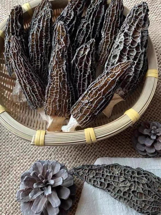 Buy Best Herb Morchella Vulgaris Mushroom, Chinese Rare Morels, Yang ...