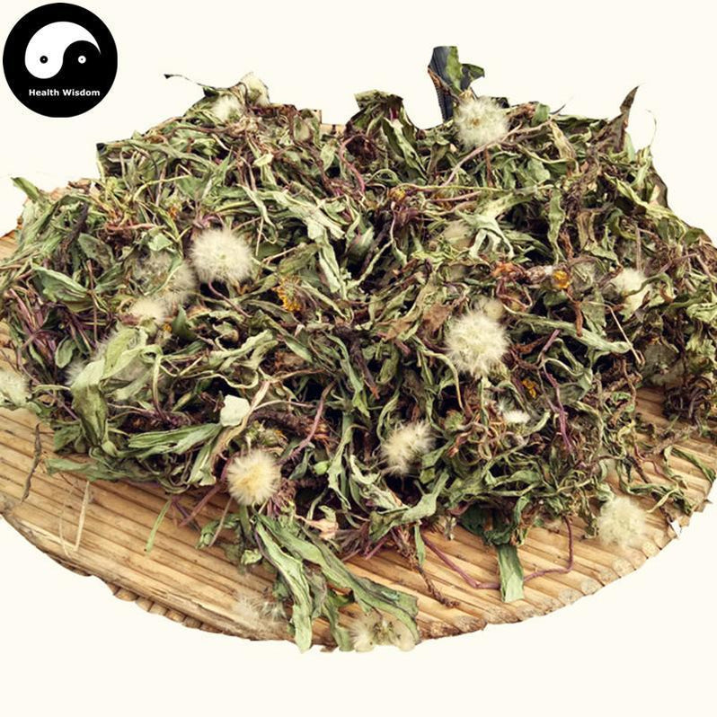 Buy Best Herb Pu Gong Ying 蒲公英, Herba Taraxaci, Mongolian Dandelion ...