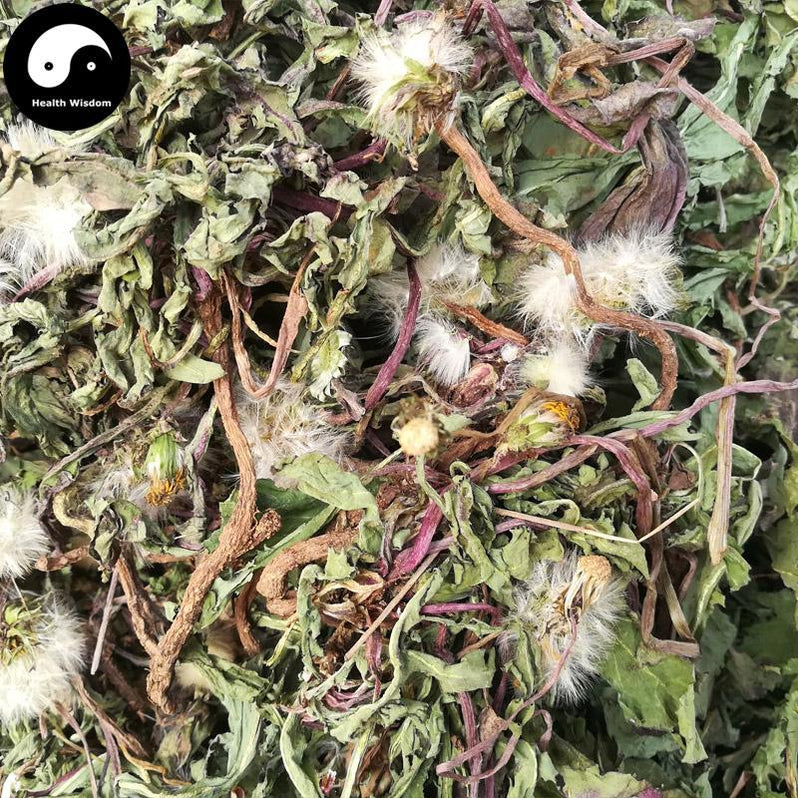 Buy Best Herb Pu Gong Ying 蒲公英, Herba Taraxaci, Mongolian Dandelion ...