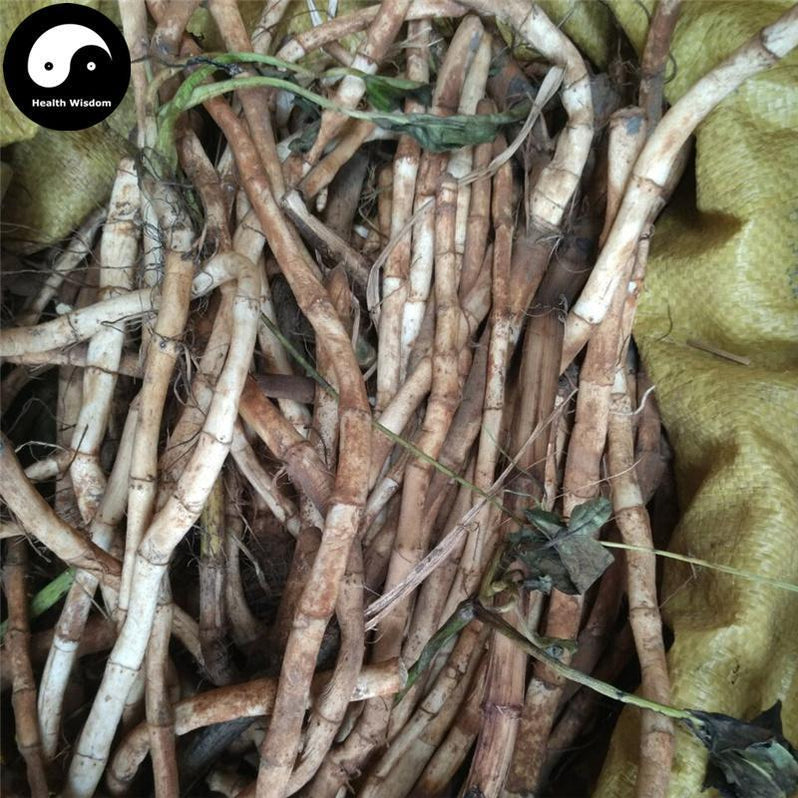 Buy Best Herb San Bai Cao Gen 三白草根, Saururi Rhizoma, Saururus — Health ...