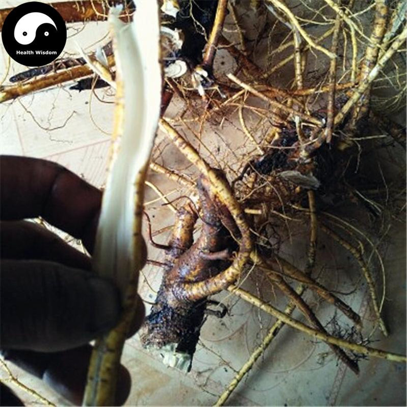 Buy Best Herb Sang Bai Pi 桑白皮, Cortex Mori, White Mulberry Root Bark ...