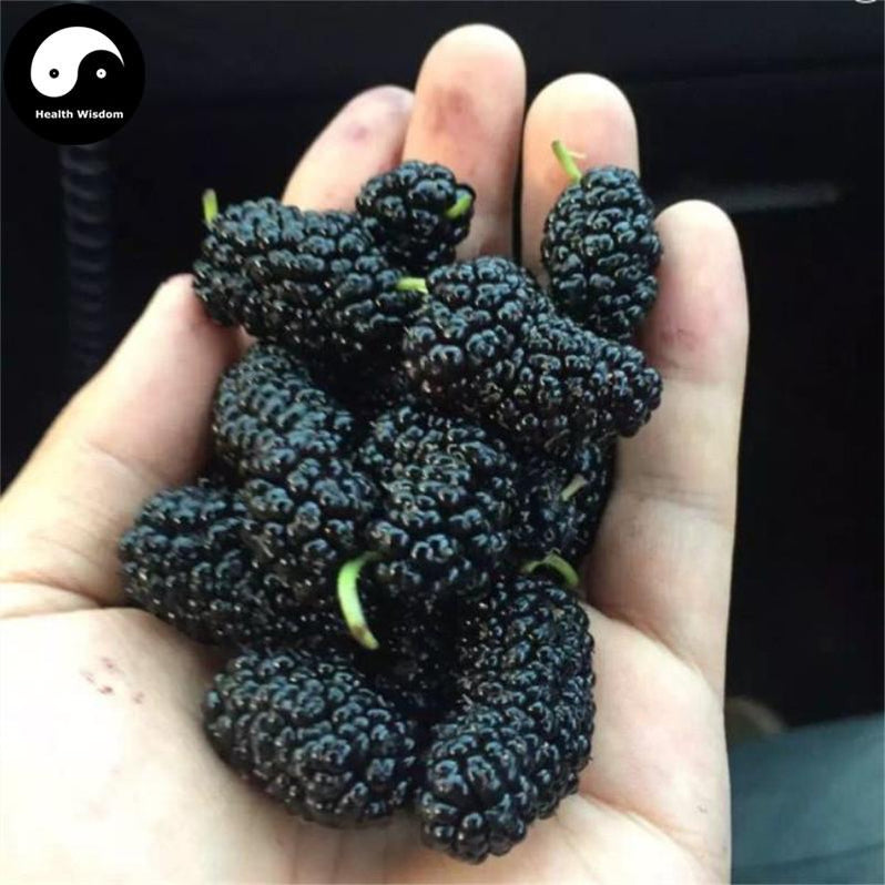 Buy Best Herb Sang Shen Zi 桑椹子, Fructus Mori, Mulberry Fruit Online ...