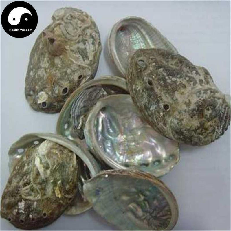 Buy Best Herb Shi Jue Ming 石决明, Concha Haliotidis, Abalone Shell, Sea ...