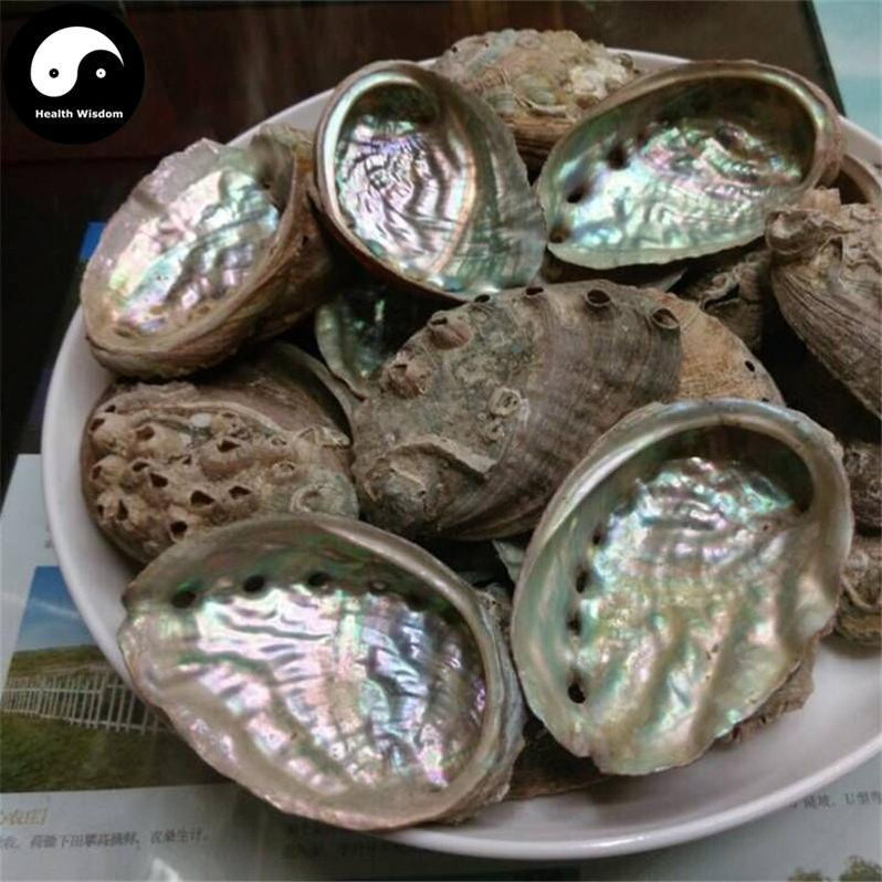 Buy Best Herb Shi Jue Ming 石决明, Concha Haliotidis, Abalone Shell, Sea ...