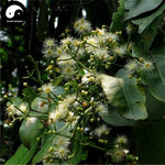 Buy Best Herb Shui Weng Hua 水翁花, Operculate Cleistocalyx Flower, Flos ...