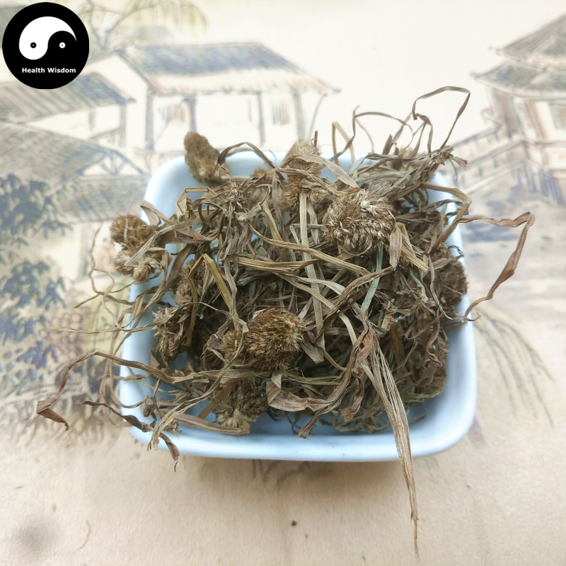 Buy Best Herb Shui Wu Gong 水蜈蚣, Kyllinga Brevifolia Herb, Jin Niu Cao ...