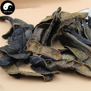 Buy Best Herb Shui Zhi 水蛭, Dried Hirudin, Medicinal Leeches, Hirudo ...