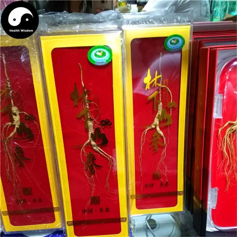 Buy Best Herb White Ginseng Roots Branches (Wild), 12 Years Panax ...