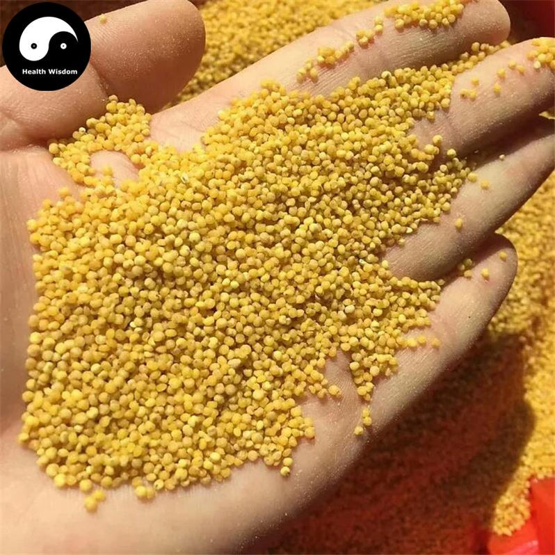 Buy Best Herb Xiao Huang Mi 小黄米, Herb Food Millet, Grain Millet Online ...
