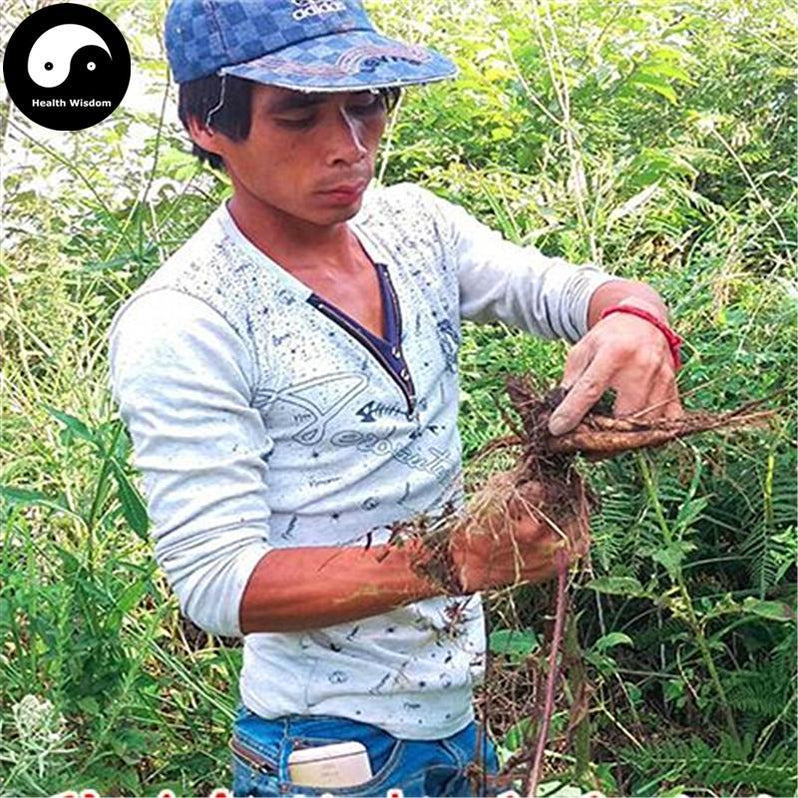 Buy Best Herb Xu Duan 續斷, Radix Dipsaci, Himalayan Teasel Root, Chuan ...