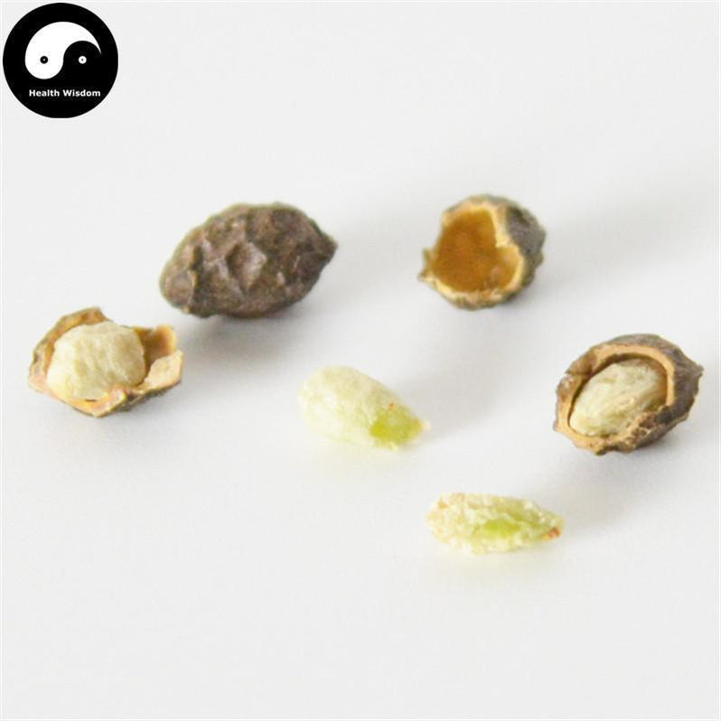 Buy Best Herb Ya Dan Zi 鴉膽子, Fructus Bruceae, Java Brucea Fruit ...