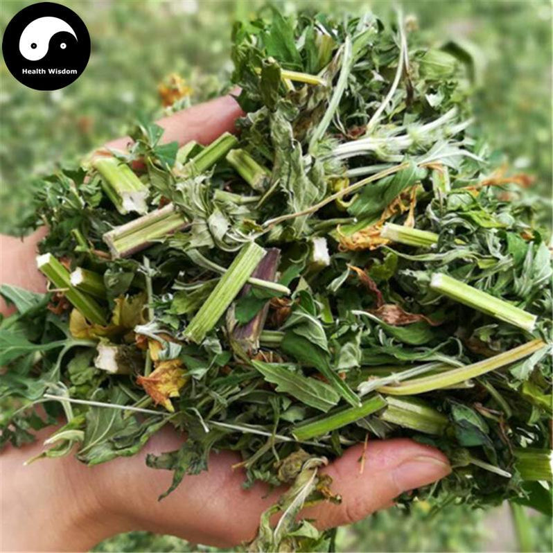 Buy Best Herb Yi Mu Cao 益母草, Herba Leonuri, Motherwort Herb, Leonurus ...