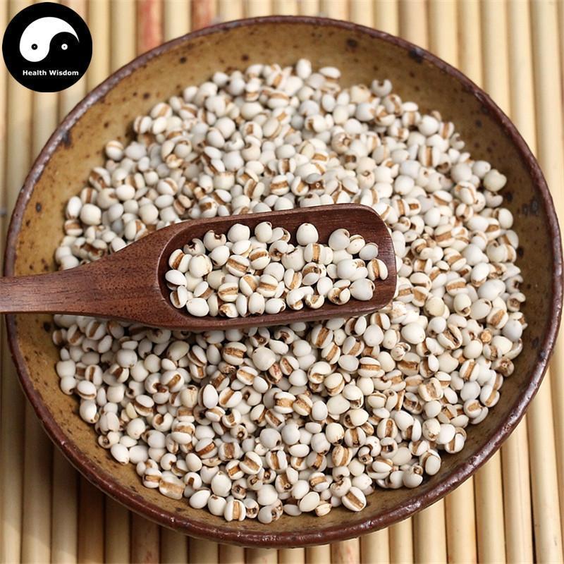 Buy Best Herb Yi Yi Ren 薏苡仁, Yi Ren, Yi Mi, Coix Seed, Semen Coicis — Health Wisdom™
