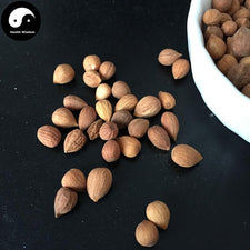 Buy Best Herb Yu Li Ren 郁李仁, Semen Pruni, Dwarf Flowering Cherry Seed ...