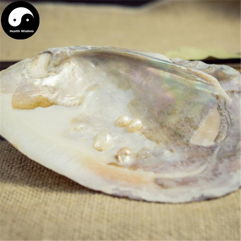 Buy Best Herb Zhen Zhu 珍珠, Margarita, Pearl, Pteria Online Tea Store ...