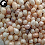 Buy Best Herb Zhen Zhu 珍珠, Margarita, Pearl, Pteria Online Tea Store ...