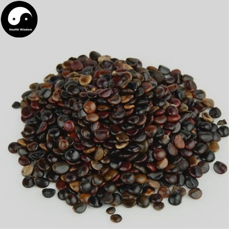 Buy Best Herb Zhi Ju Zi 枳椇子, Semen Hoveniae, Raisin Tree Seed, Guai ...