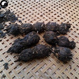 Buy Best Herb Zhu Ke Cha 竹壳茶, Bamboo Shell Tea, Cucurbit Tea, Xian Cha ...