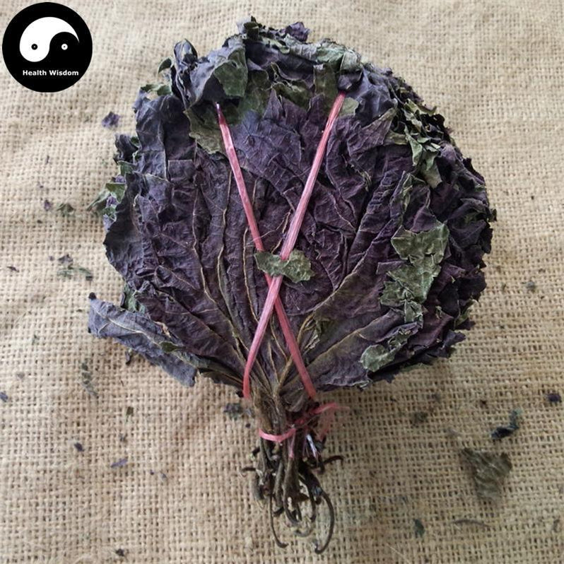 Buy Best Herb Zi Su Ye 紫蘇葉, Folium Perillae, Perilla Leaf Online Tea ...