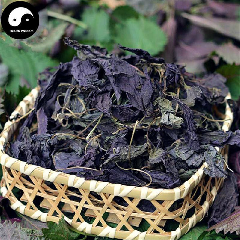 Buy Best Herb Zi Su Ye 紫蘇葉, Folium Perillae, Perilla Leaf Online Tea ...